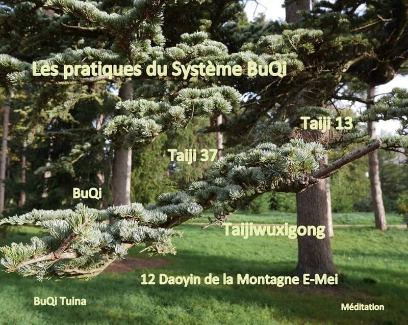 Les pratiques associées - Fédération Française du Système BuQi®
