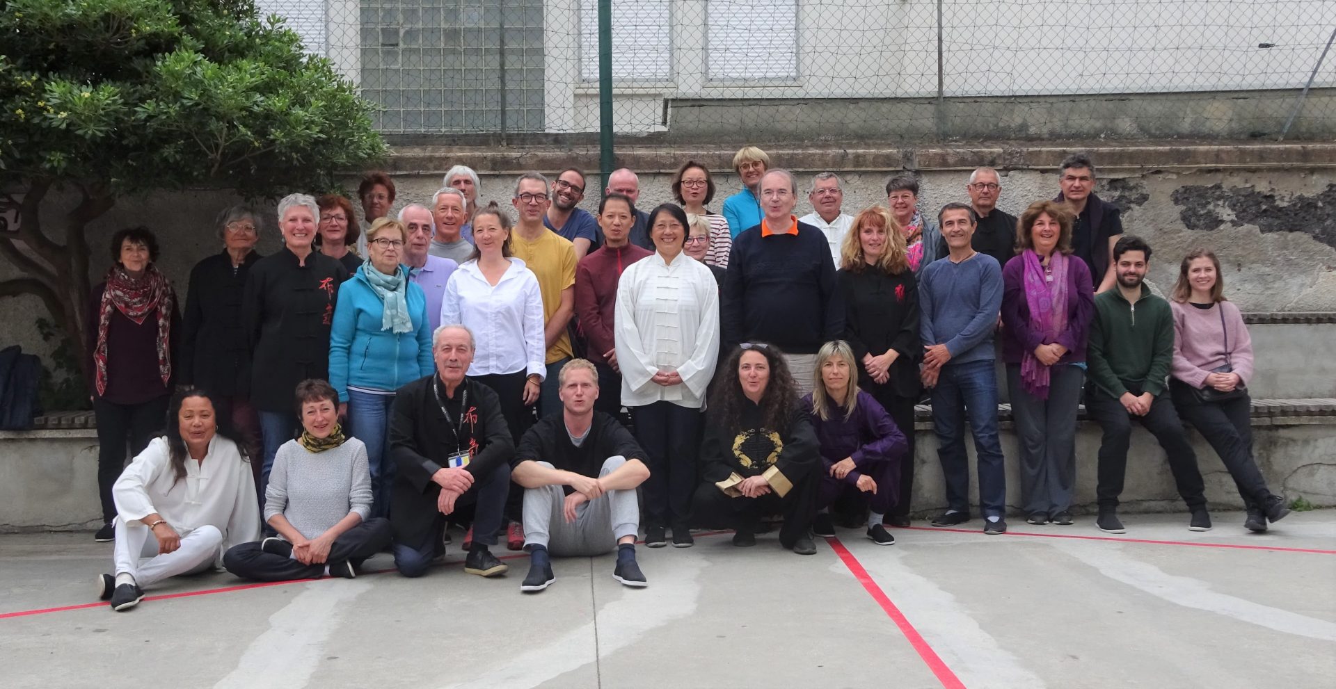 Taiji 37 avec Maître Shen Jin - Fédération Française du Système BuQi ...